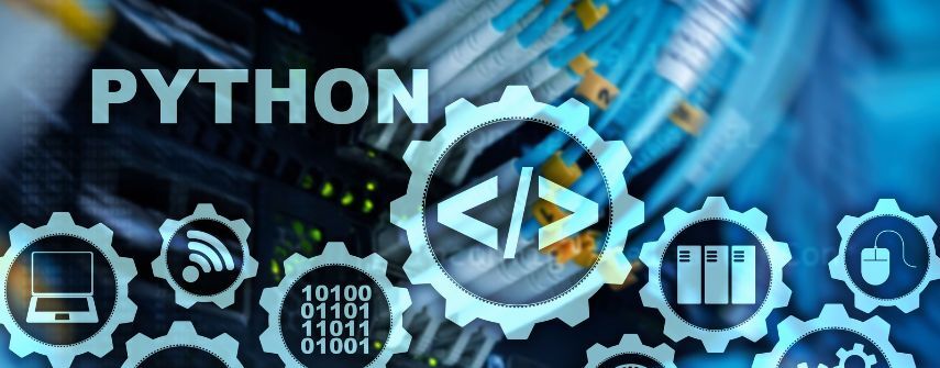 The Process of Hiring a Python Developer - A Complete Guide The Process of Hiring a Python Developer - A Complete Guide